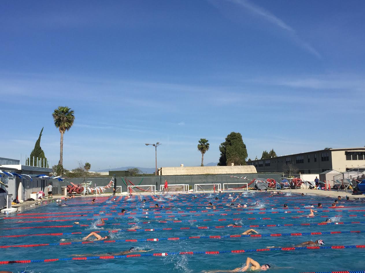 Seal Swim Team – Joint Forces Training Base NAF-MWR